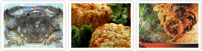 Crabs - Cape Cod Shellfish