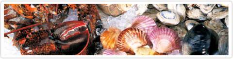 Products - Cape Cod Shellfish