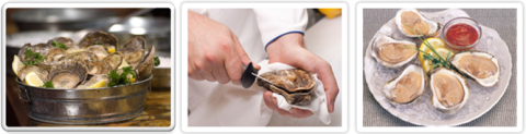 Oysters - Cape Cod Shellfish