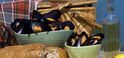 Cape Cod Shellfish - Make your first choice a "Fresh Choice"!