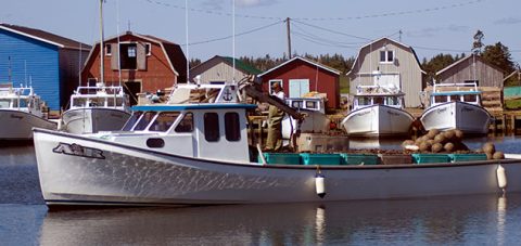 Cape Cod Shellfish - Make your first choice a "Fresh Choice"!