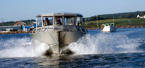 Cape Cod Shellfish - Make your first choice a "Fresh Choice"!